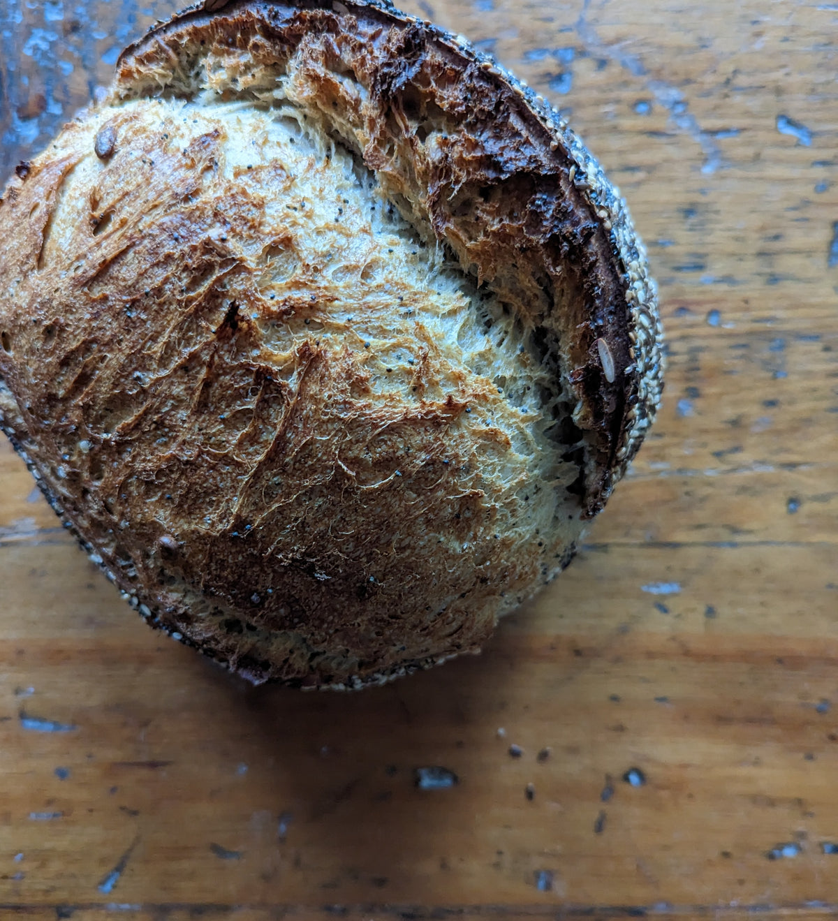 Seeded | Elora Bread Trading Co