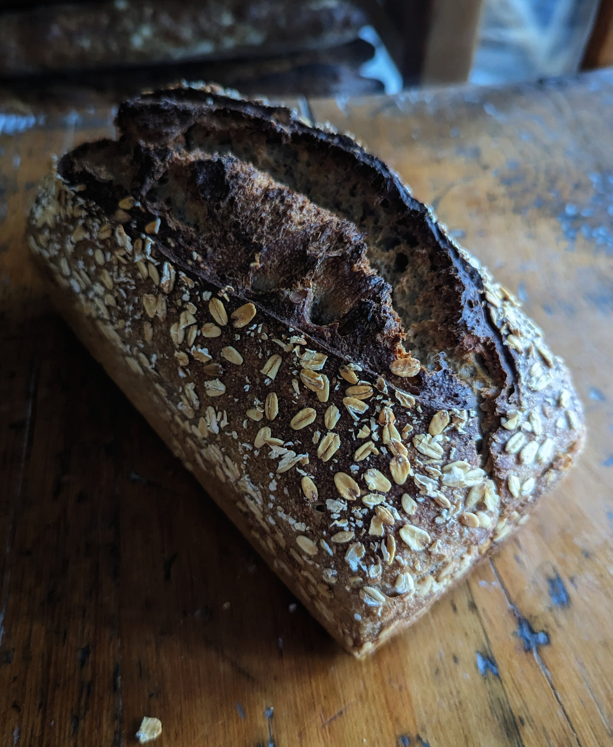 Hearty Walnut | Elora Bread Trading Co
