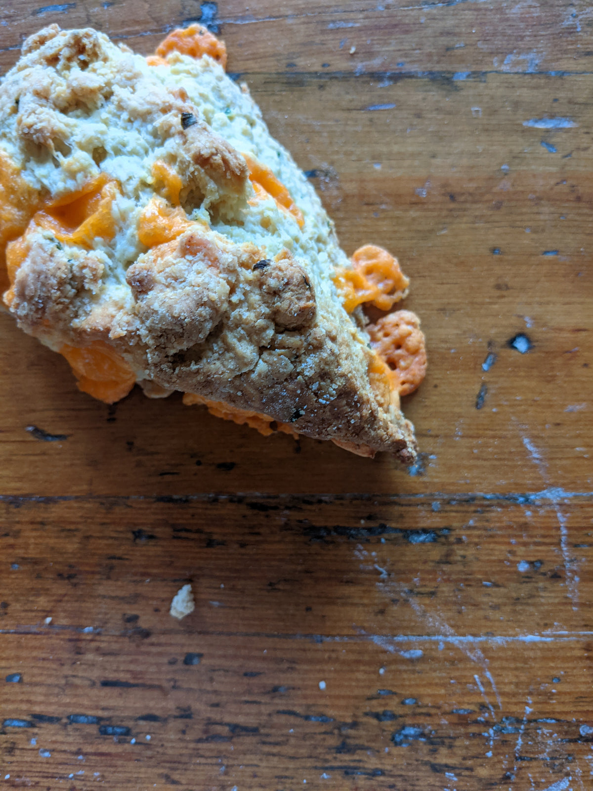 Cheddar & Chive Scone | Elora Bread Trading Co
